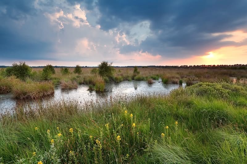 De 15 mooiste natuurgebieden van Nederland | Skyscanner