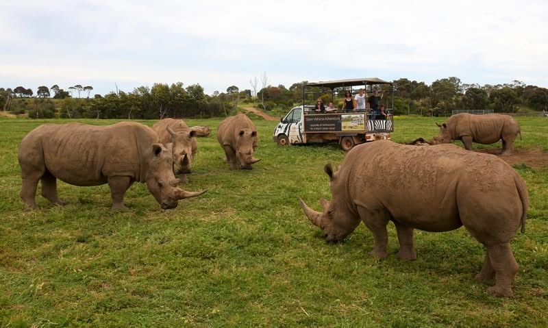 Top 10 zoos in Australia