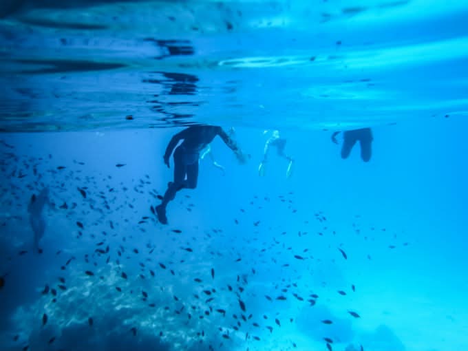 Top 10 dingen (gratis) te doen op Curacao | Skyscanner