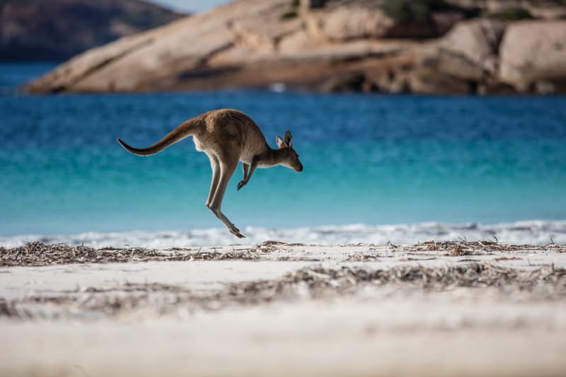 Exploring Western Australia: 20 things to add to your bucket list