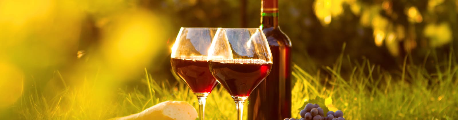 Las 14 mejores rutas del vino de España