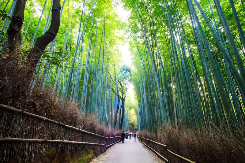 10 paisajes de Japón que debes conocer