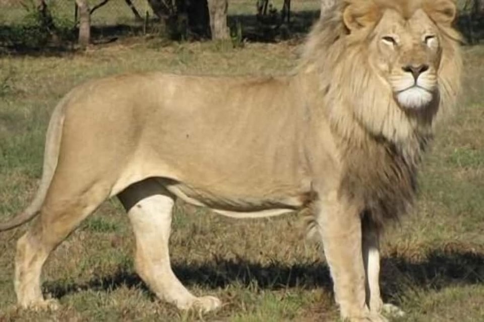 Ukutula Lodge & Game Reserve | 2025 Updated Prices | Hotels | Skyscanner