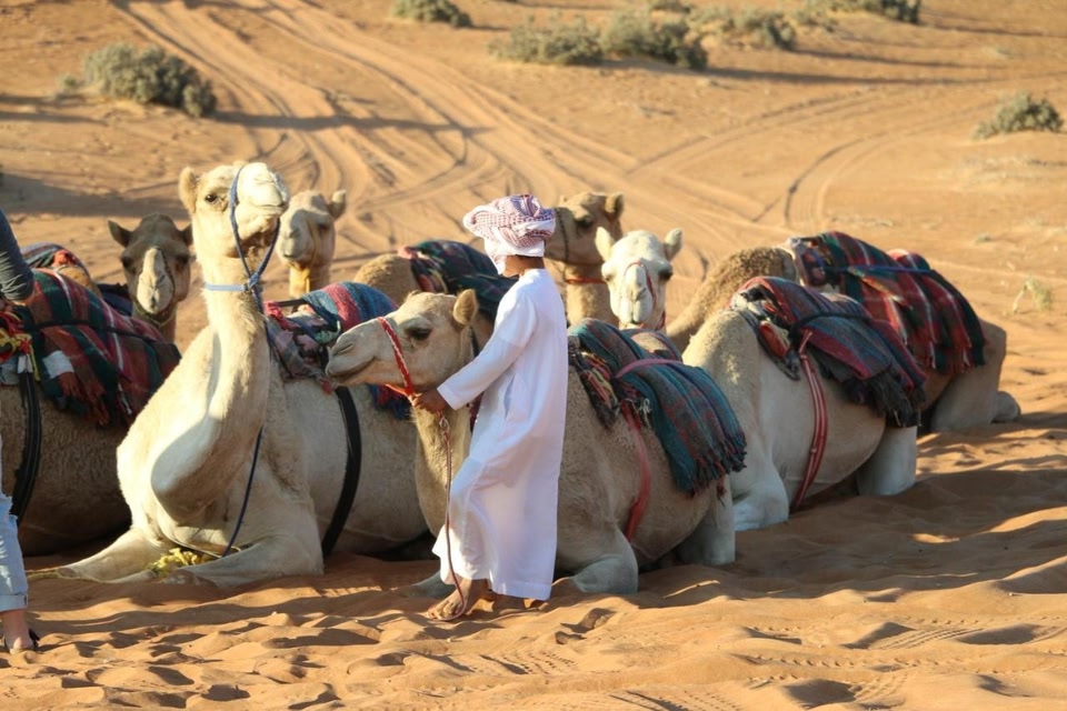 Al Badri Private Bedouin Tent | Preços atualizados para 2026 | Hotéis ...