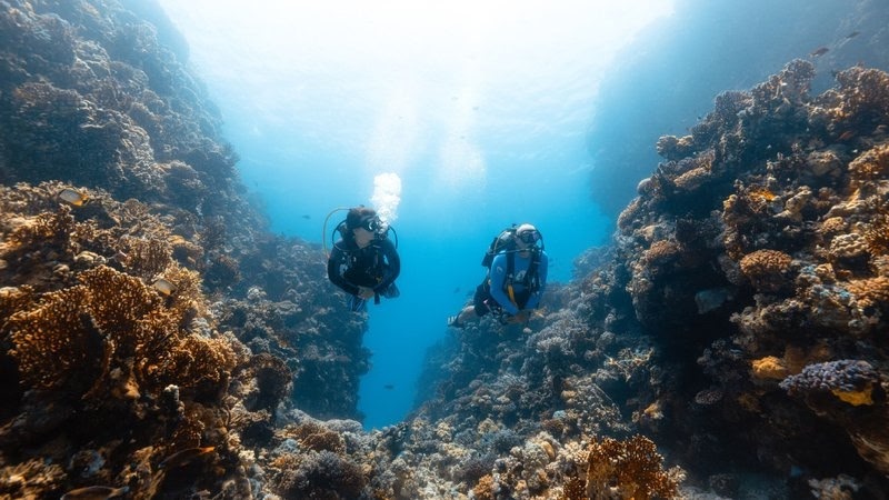 InterContinental The Red Sea Resort by IHG, Umluj Hotels - Skyscanner