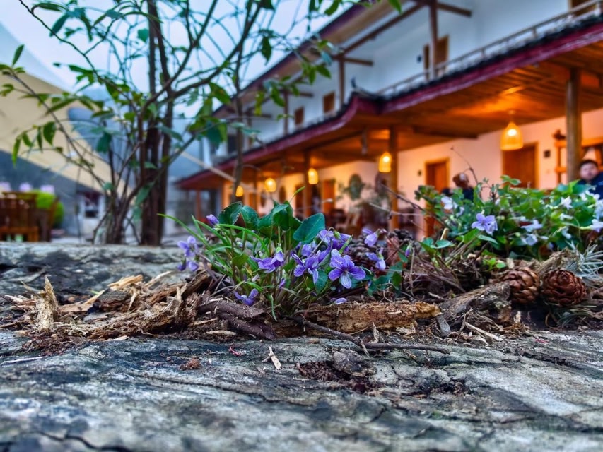 Zhangjiajie Yolo Resort--Within Zhangjiajie National Forest Park ...