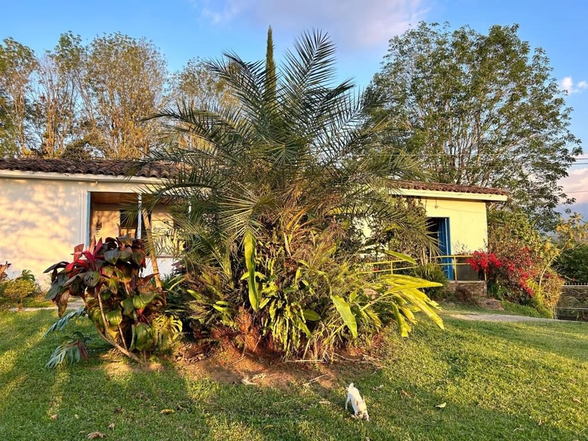 布里蒂生態 H 飯店, 聖羅莎德卡瓦爾 - Skyscanner