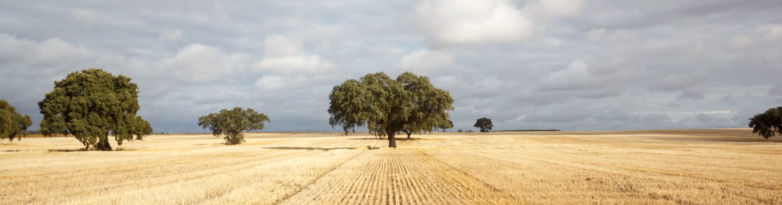 17 lugares de Extremadura que deberías visitar