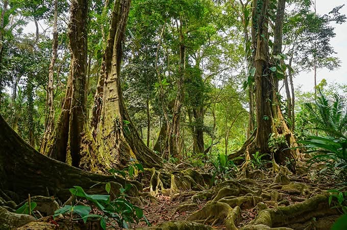COSTA RICA, NATURALEZA ÚNICA – ENCANTO TRAVEL