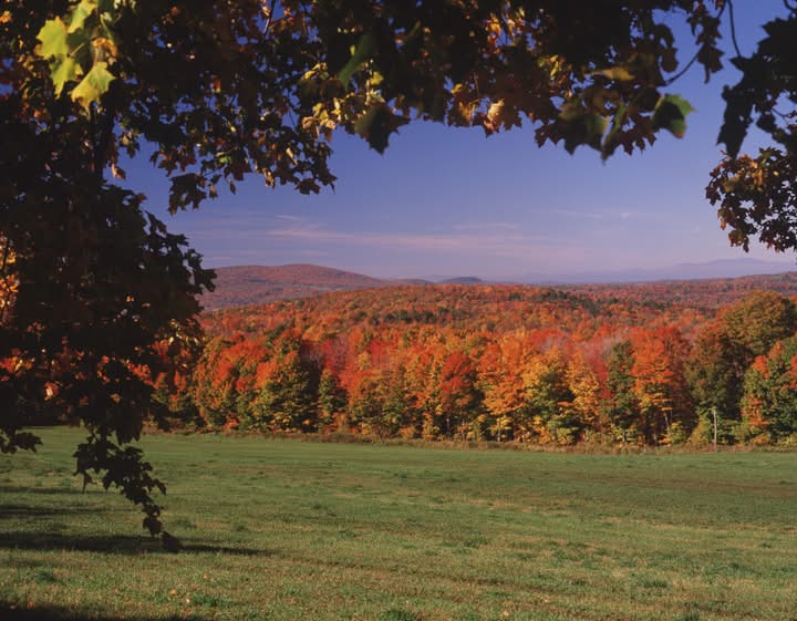 Skyscanner's Guide to Fall Foliage Along Vermont Route 100