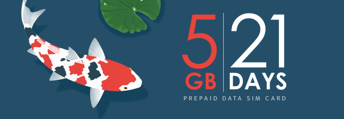 日本上网攻略 比较Docomo和Softbank免费SIM卡 | Skyscanner天巡