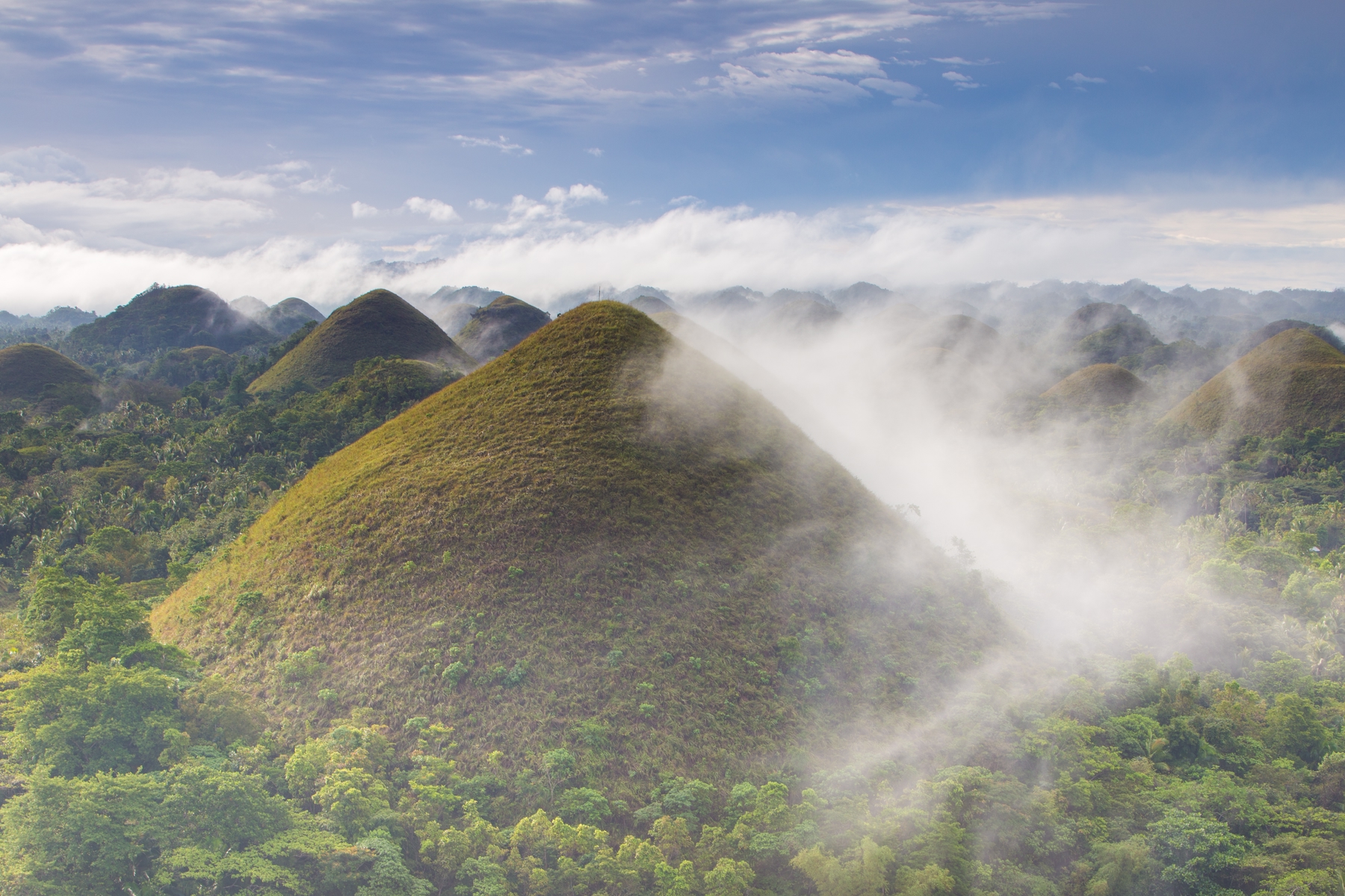 Descubre Bohol: la Bali de Filipinas 🐒 | Skyscanner Espana