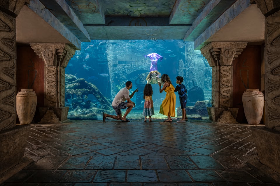 Channel your innner Ariel on a mermaid experience at these hotels