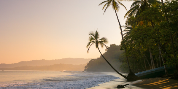 International travel plug adapter guide: which plug to use on a trip?