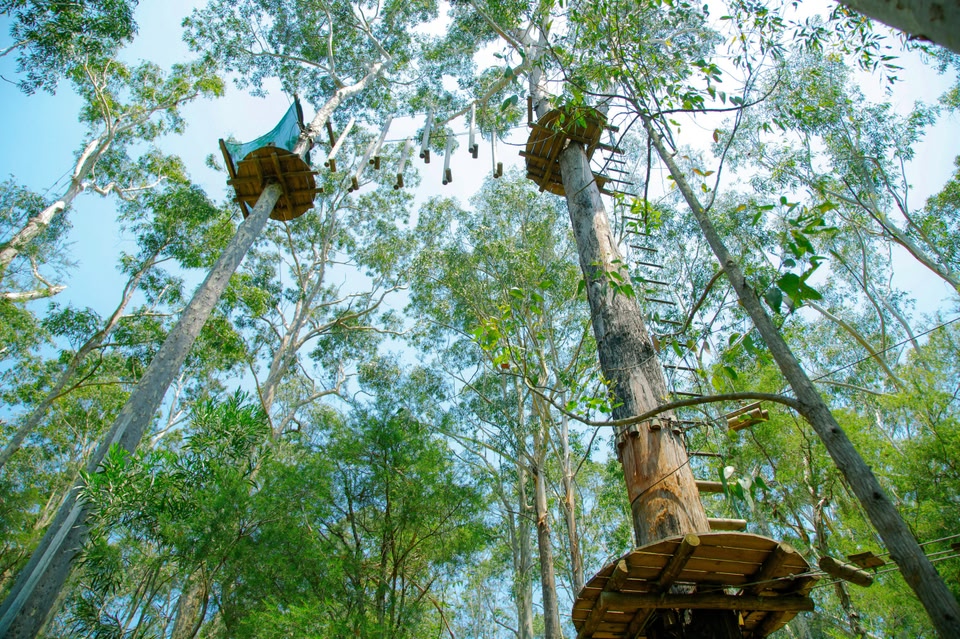 Sydney and beyond: 7 cool activities you can't miss in New South Wales ...