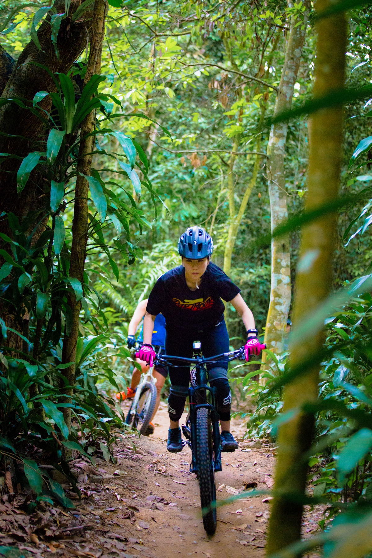 Best trails for hiking in Singapore | Skyscanner