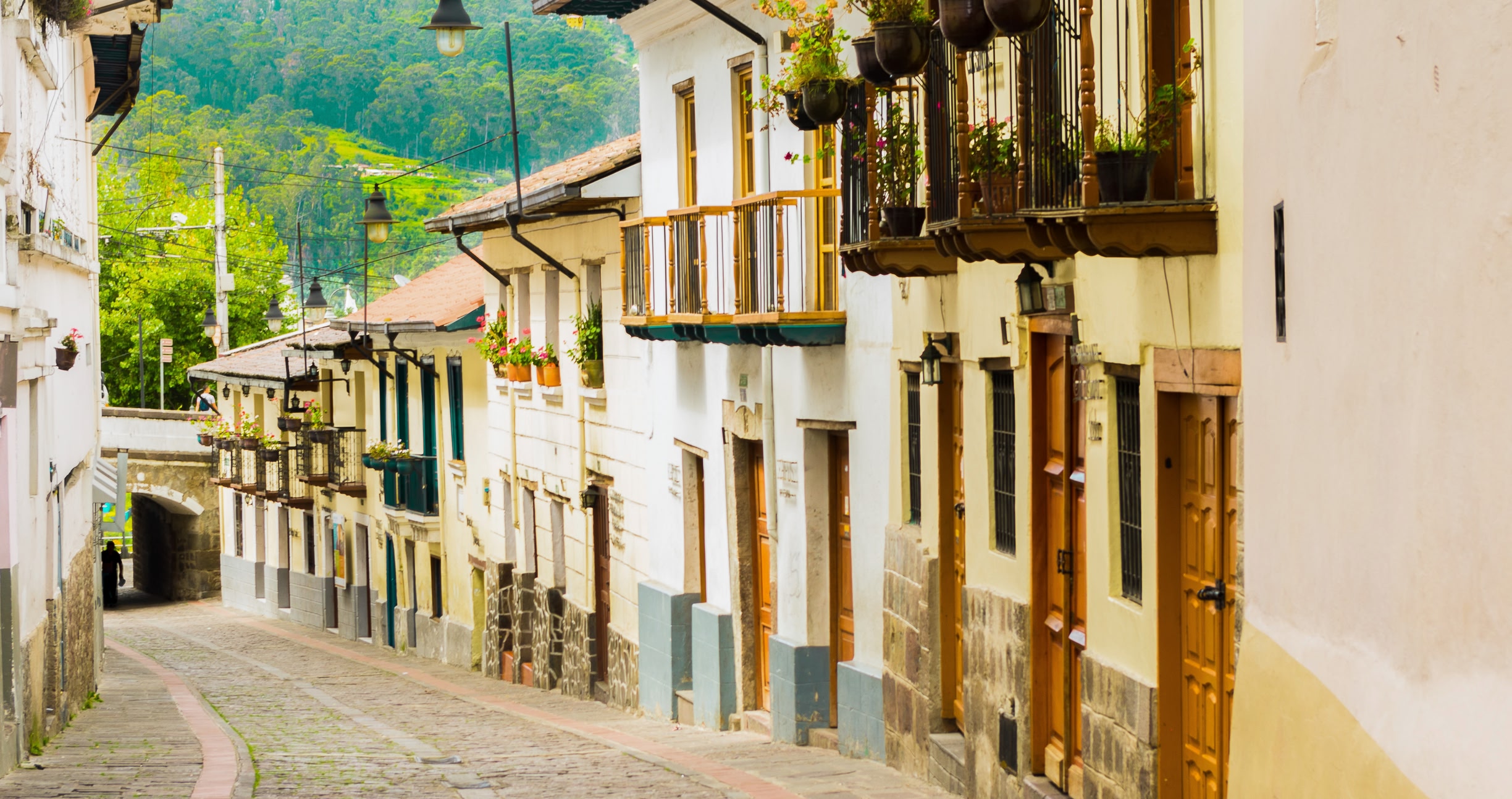 Get FlightNetwork Travel Deals | Skyscanner Canada