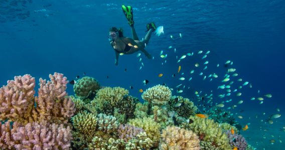 Where is hot in March around the world? Top 10 March sun destinations