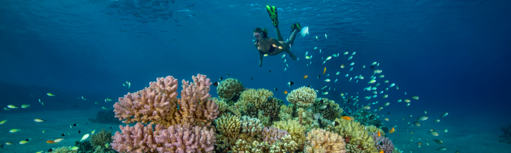 Where is hot in March around the world? Top 10 March sun destinations