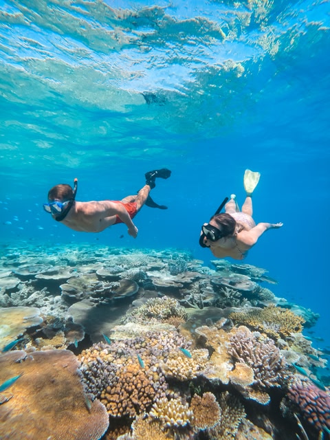 10 reasons to take a working holiday in Queensland | Skyscanner