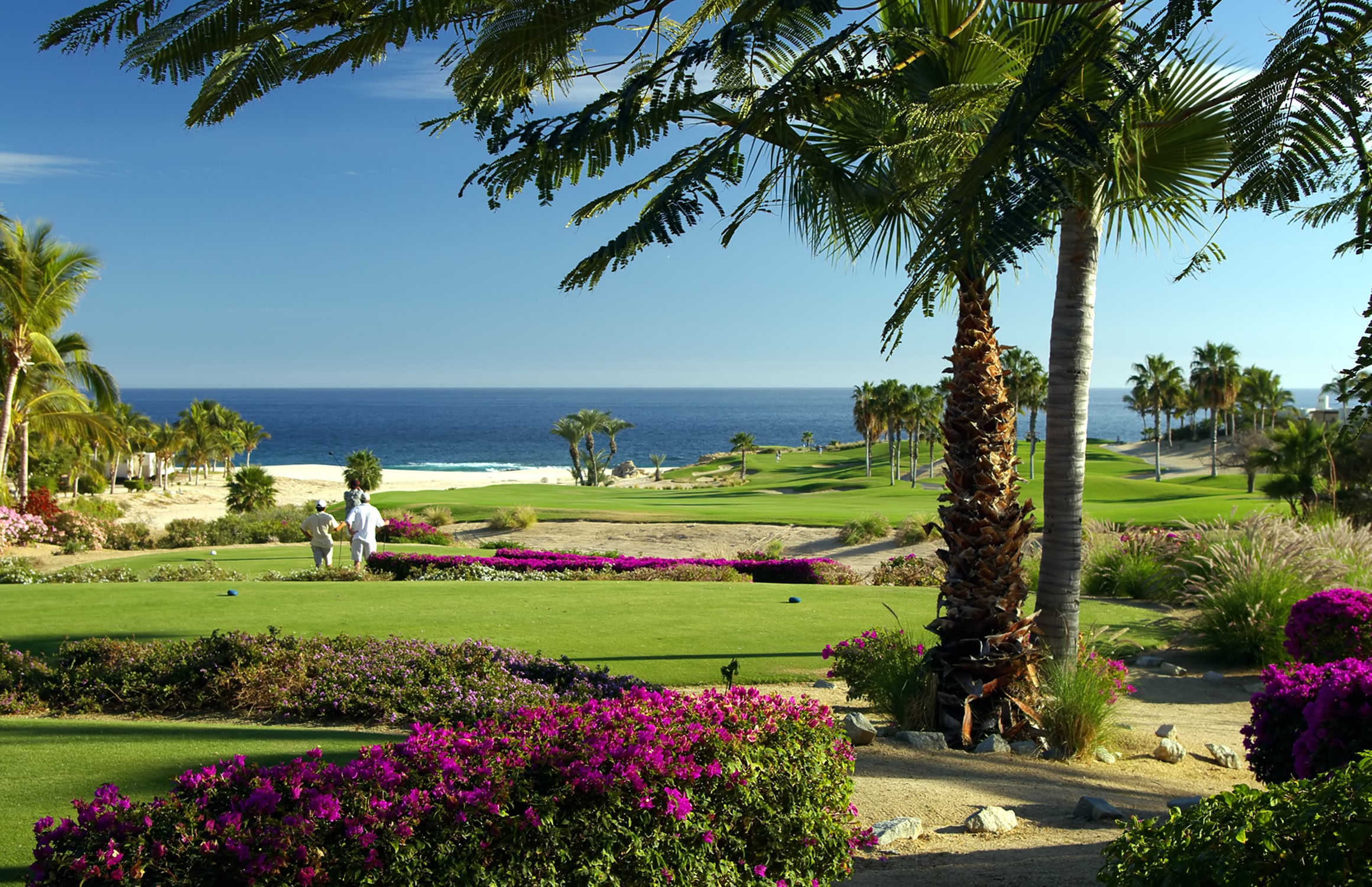 When's the best time of year for a golf trip? | Skyscanner US
