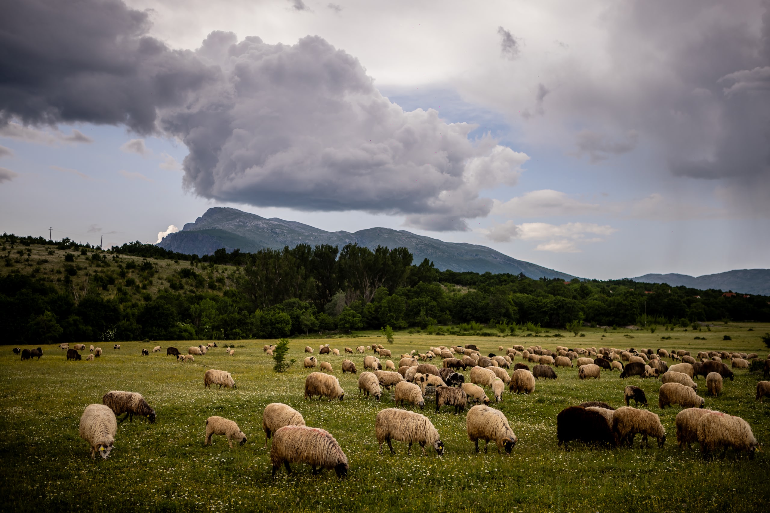 Croazia 2024: Šibenik e i suoi parchi I Skyscanner Italia