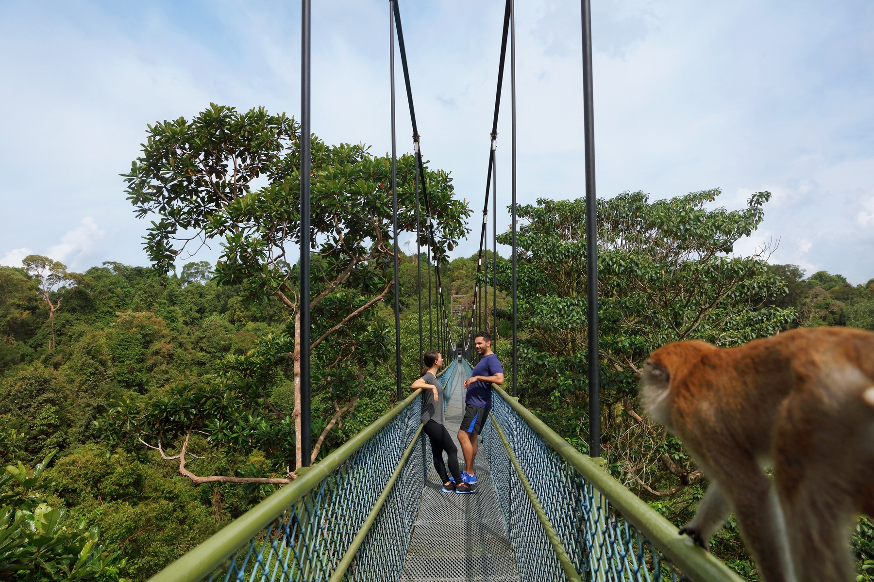 Best trails for hiking in Singapore | Skyscanner