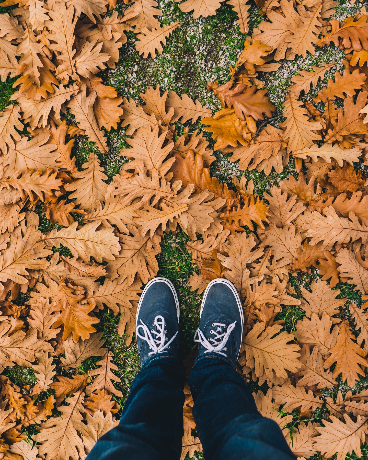 Where to go in September | Skyscanner Australia