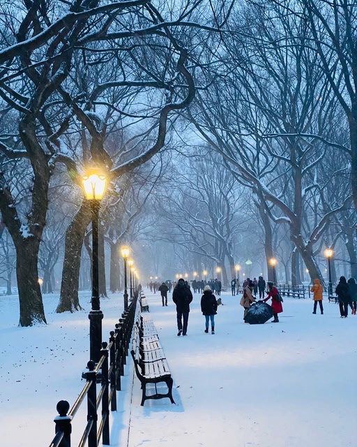 Ideas para viajes en enero de última hora – Dimension Turistica Magazine