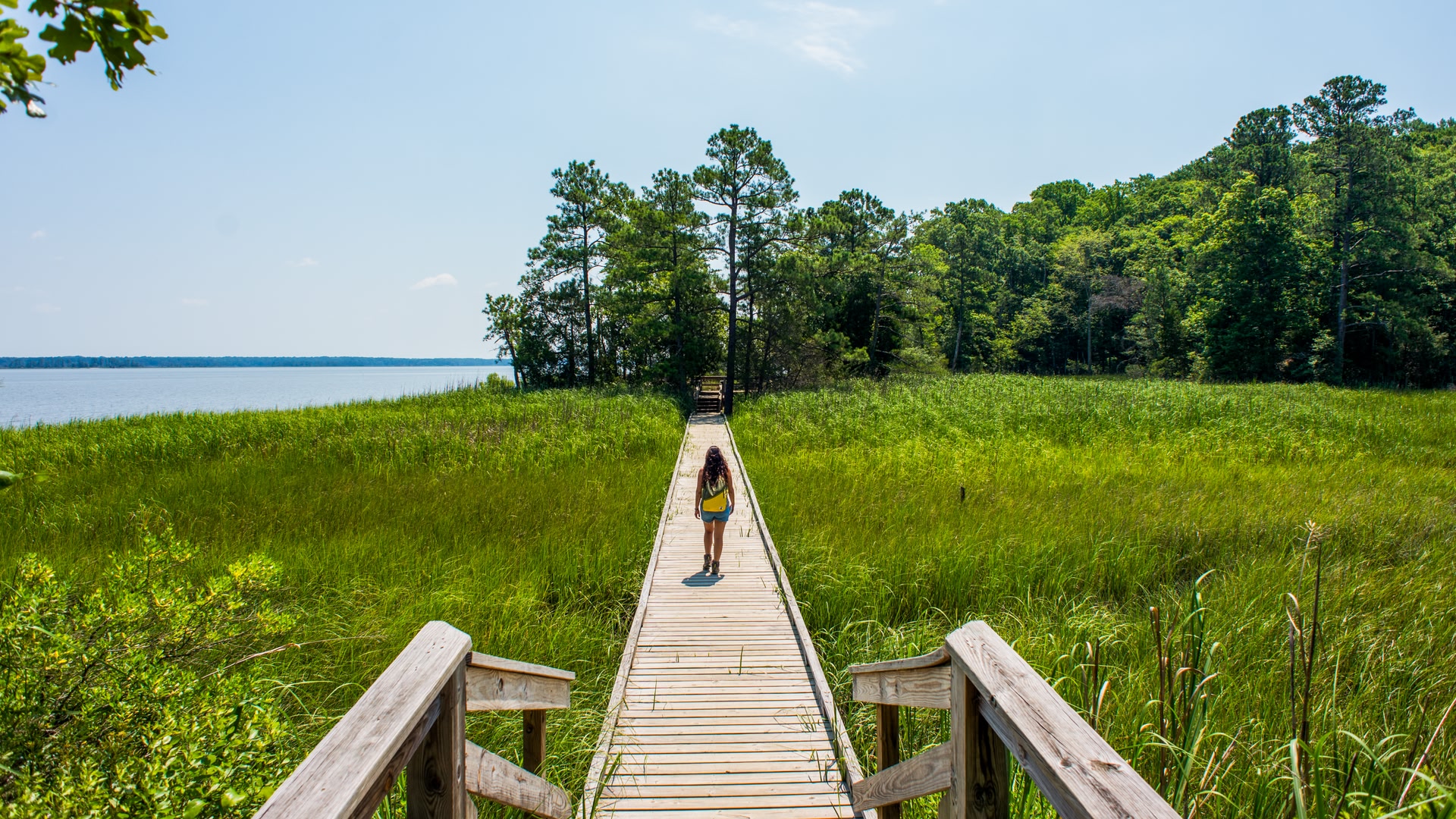 Virginia Holidays in 2025 from ₹ 77,066 | Skyscanner