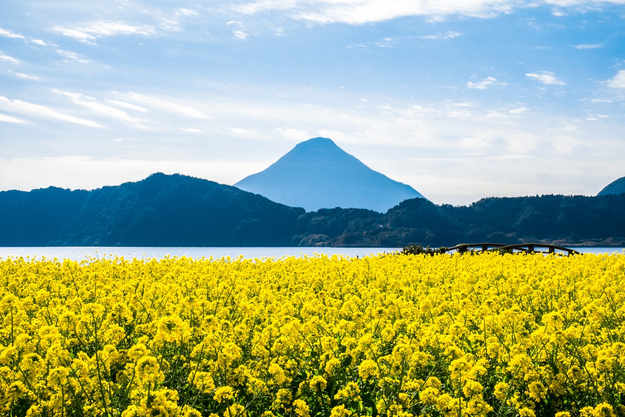 7 unmissable, unique experiences you can have in Japan | Skyscanner ...