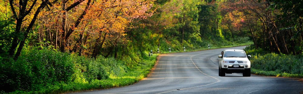 10 games to help you survive boring car journeys | Skyscanner's Travel Blog