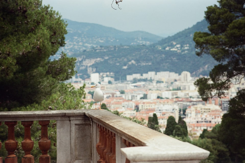 Cosa vedere a Nizza, in Costa Azzurra: 10 luoghi imperdibili in città