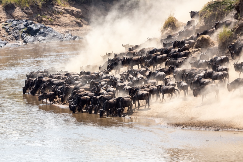 Bucket list: The unforgettable African adventure | Skyscanner's Travel Blog