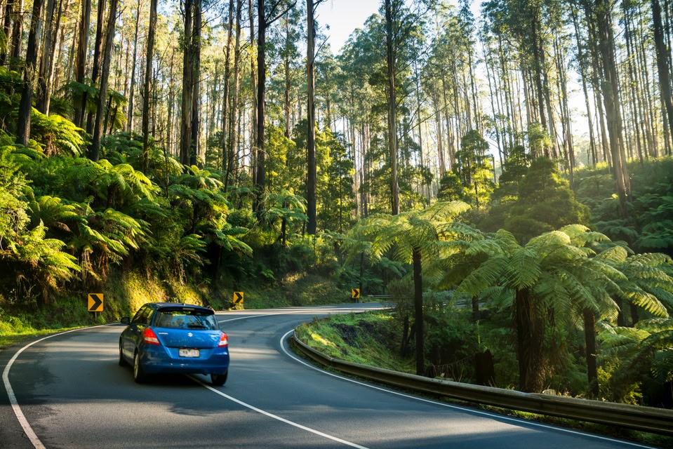 The ultimate road trip around Victoria | Skyscanner's Travel Blog