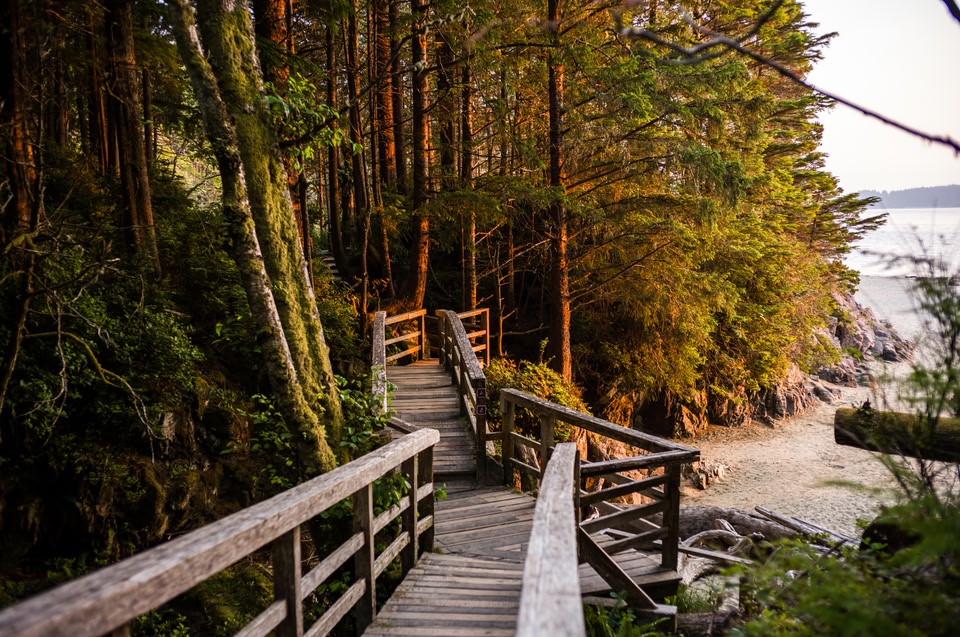 Best Tofino beaches for adventurous travellers