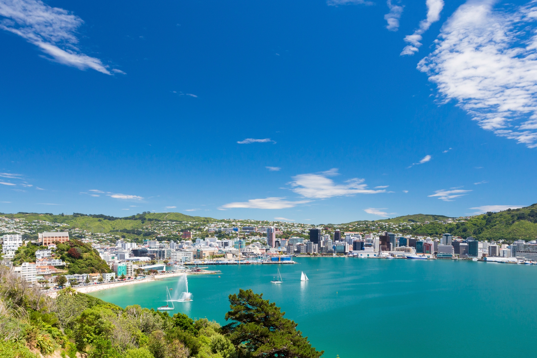 Qué ver en Wellington e información práctica | Skyscanner Español Qué ver en Wellington e información práctica | Skyscanner Español
