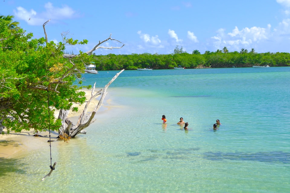 Tobago: 10 Gründe für einen Urlaub auf der Karibikinsel | Skyscanner