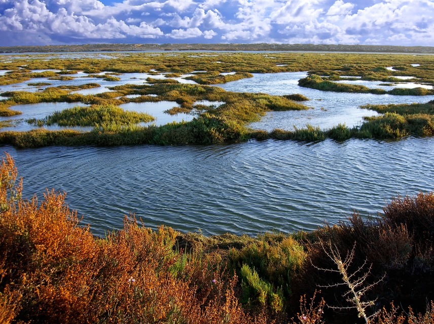 Notre top 10 des choses à faire à Faro | Skyscanner France
