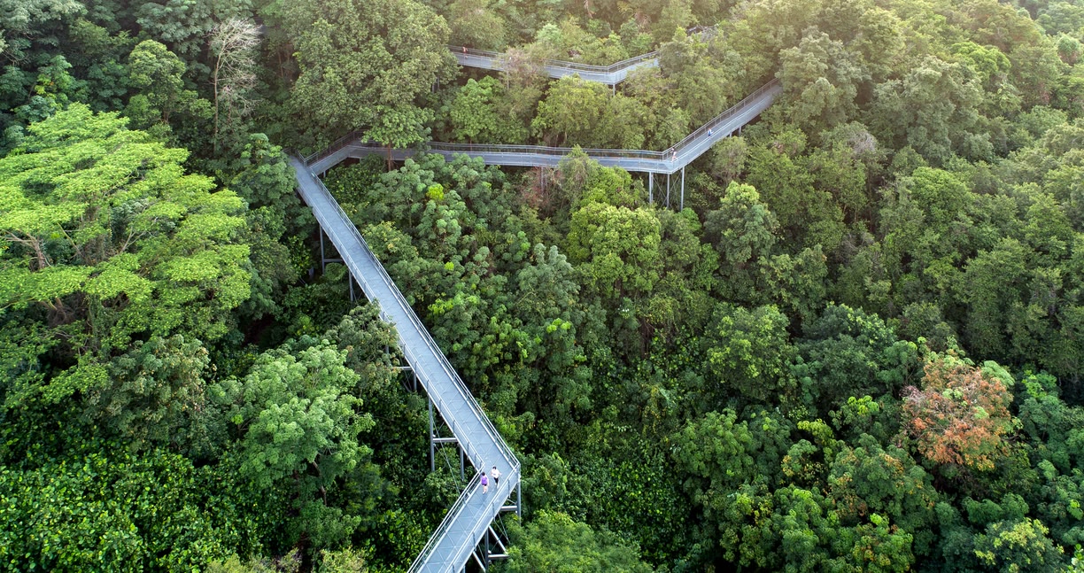 Best trails for hiking in Singapore | Skyscanner
