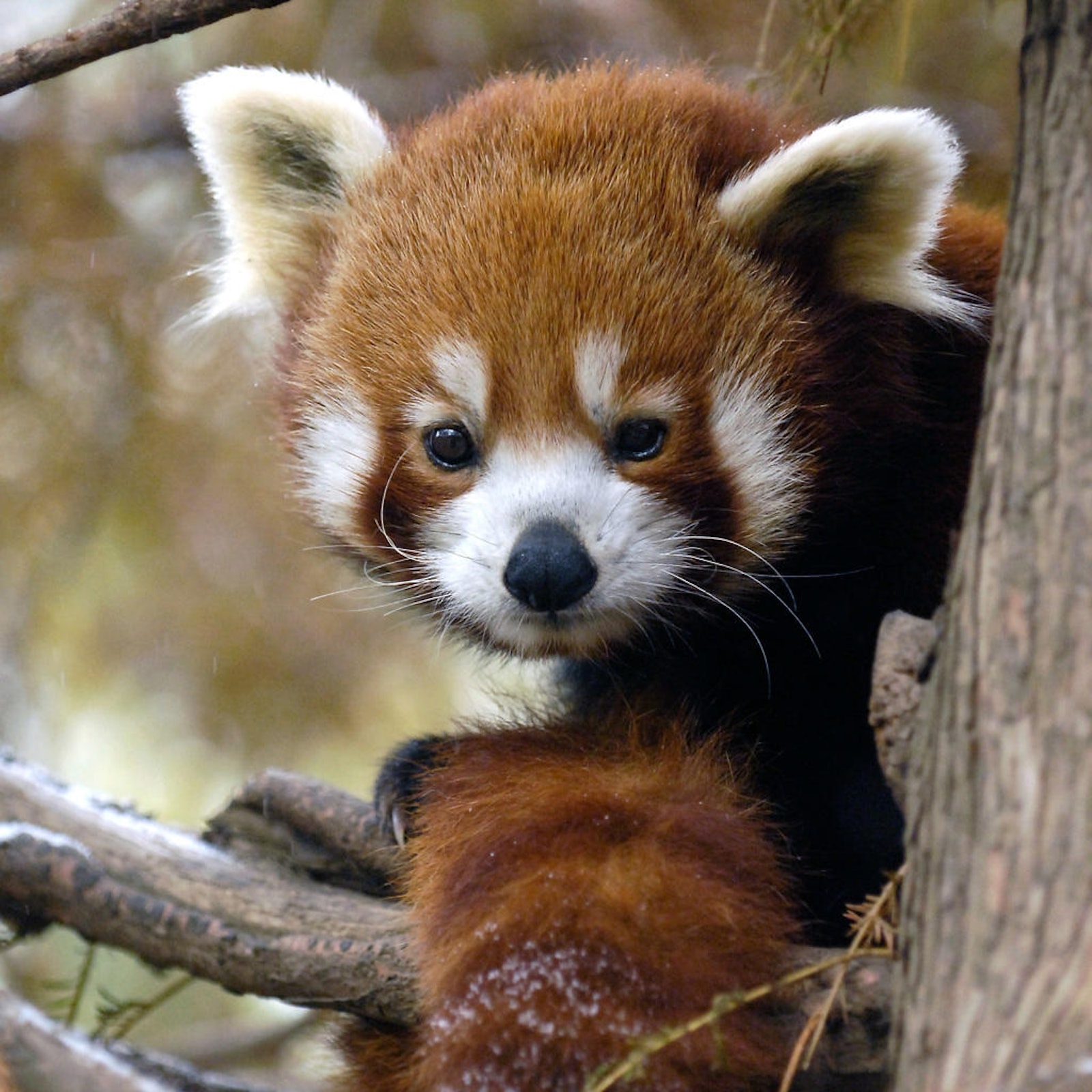 Save big on the top 5 things to do in NYC | Skyscanner's Travel Blog