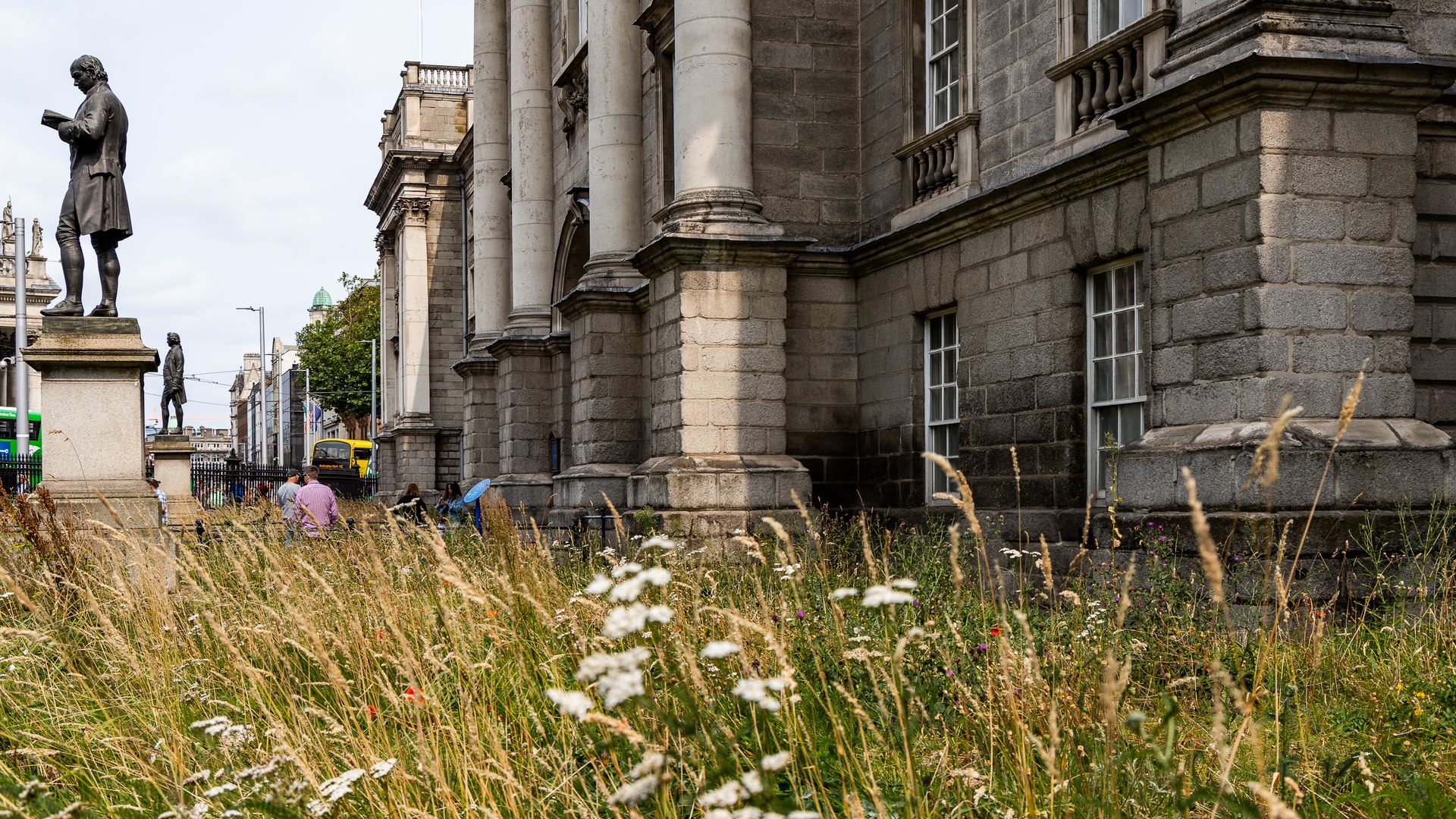 Trinity College Area, Dublin Travel Guide 2025 | Skyscanner