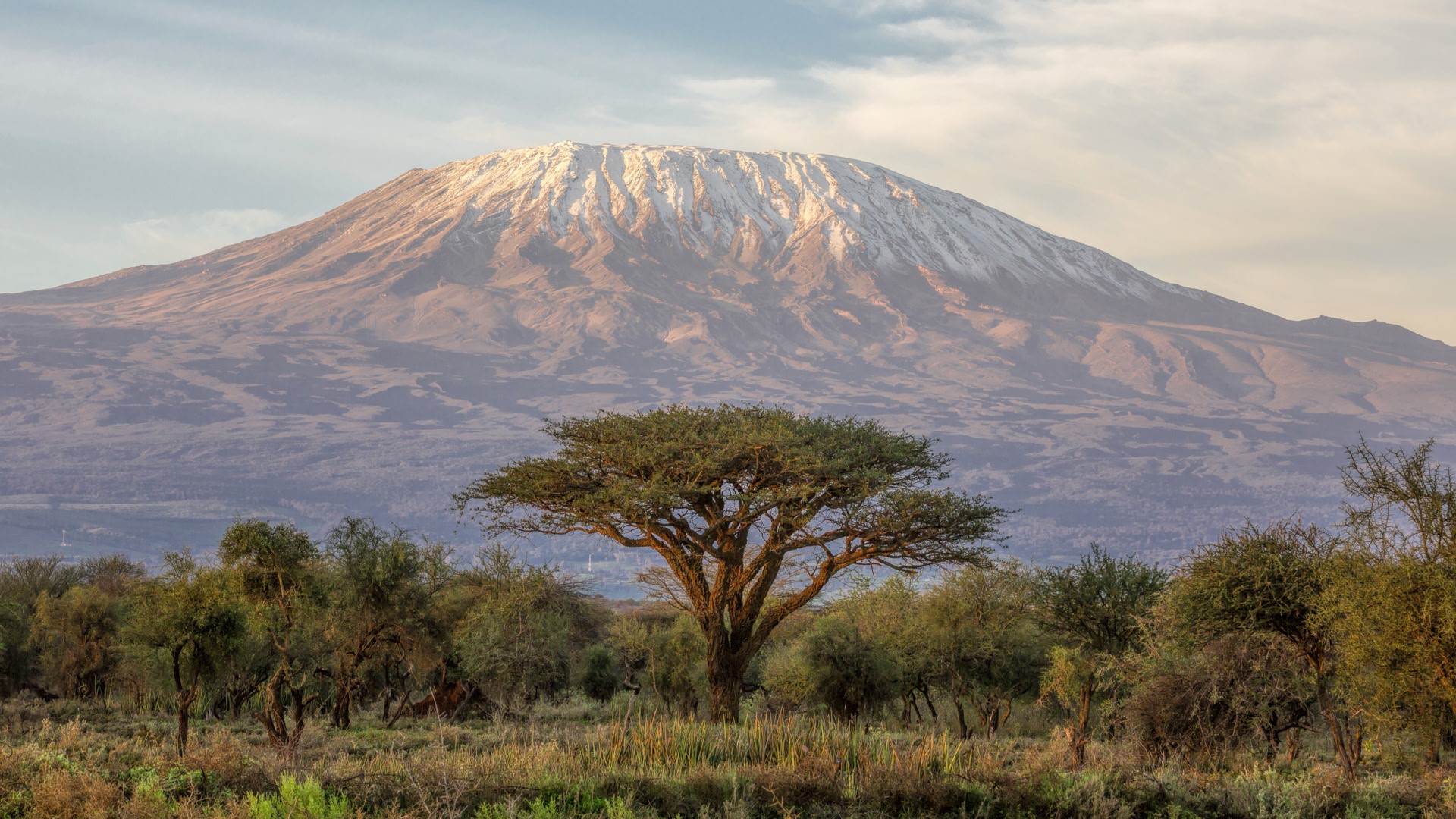 Kilimanjaro Trips in 2026 from $958 | Skyscanner