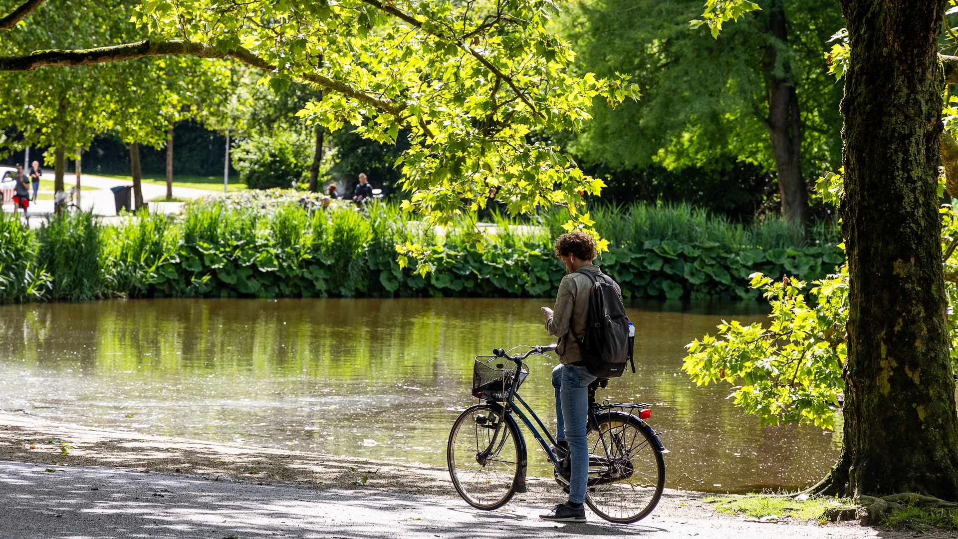 Oud-West, Amsterdam Travel Guide 2025 | Skyscanner