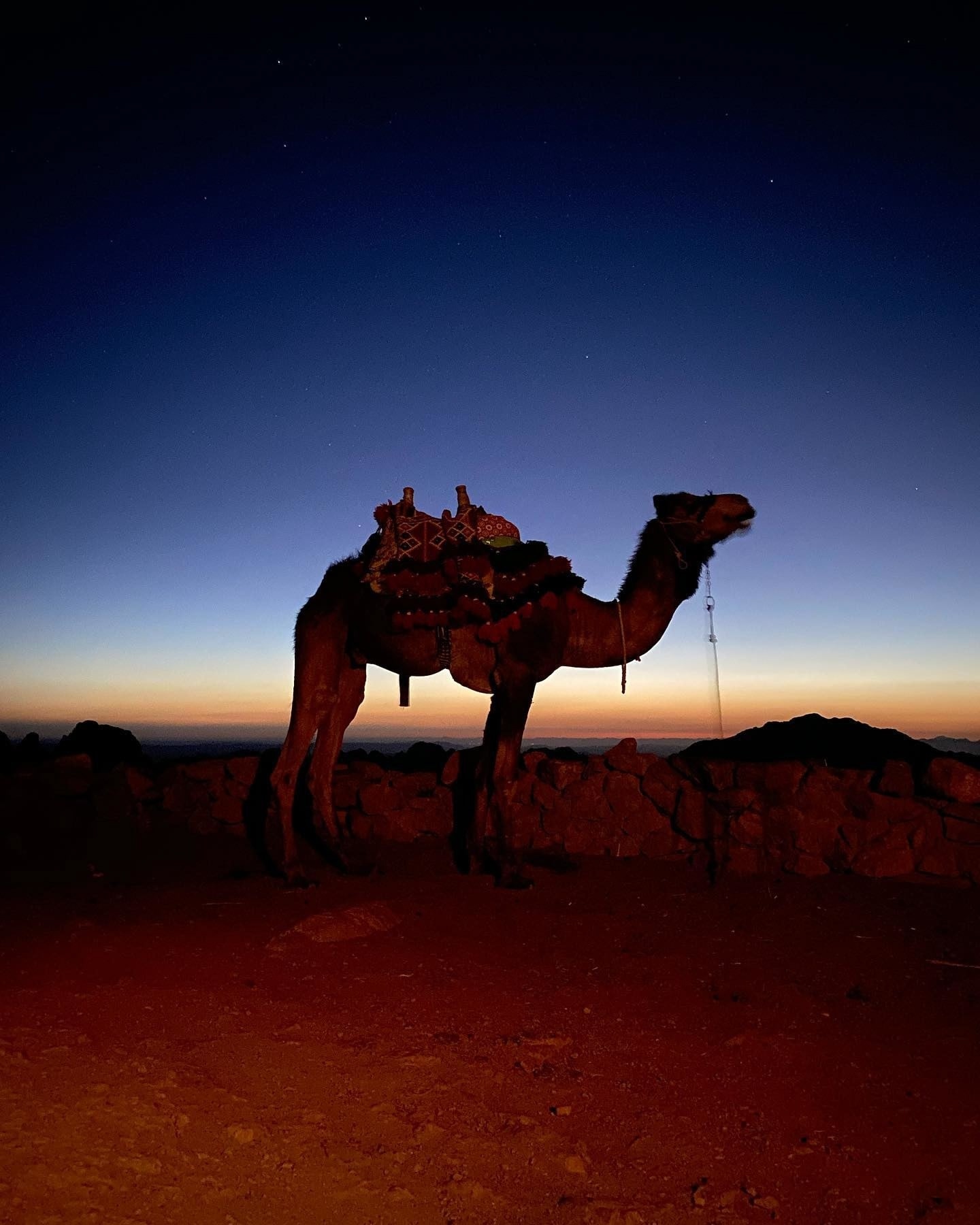 Where tradition meets modernity: 5 unique things in Qatari culture