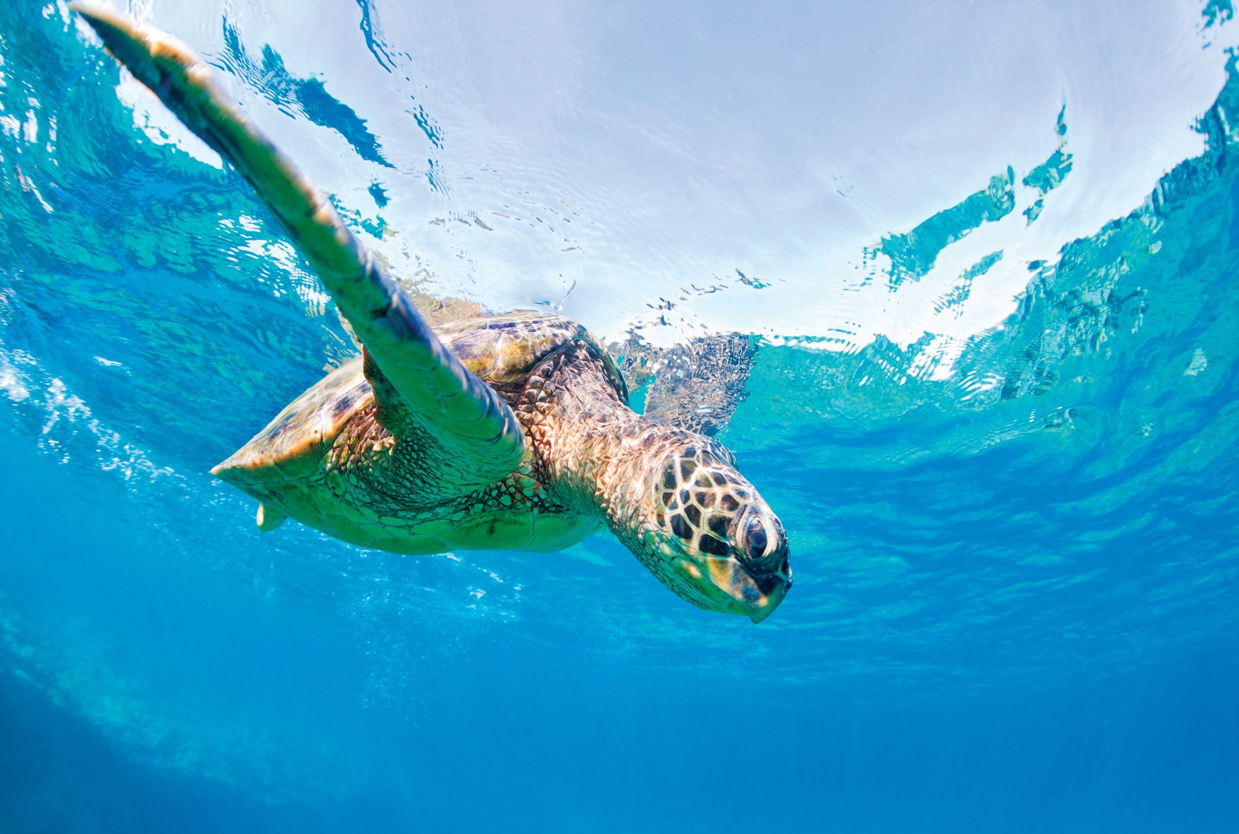 Choose your own adventure in Bahrain | Skyscanner UK