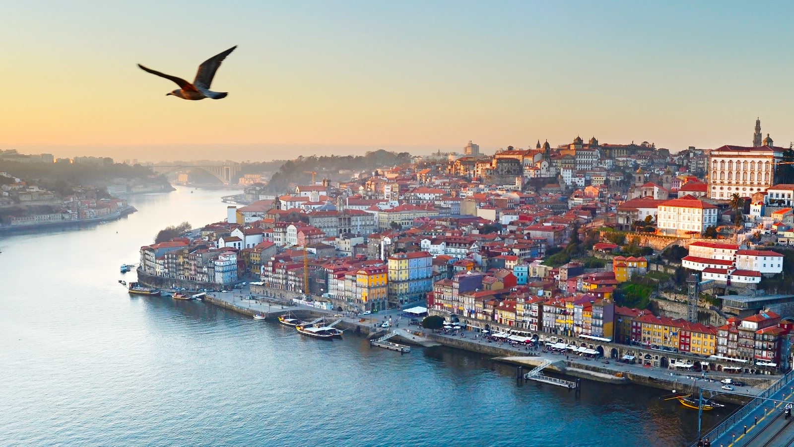 Porto Holidays in 2026 | Skyscanner