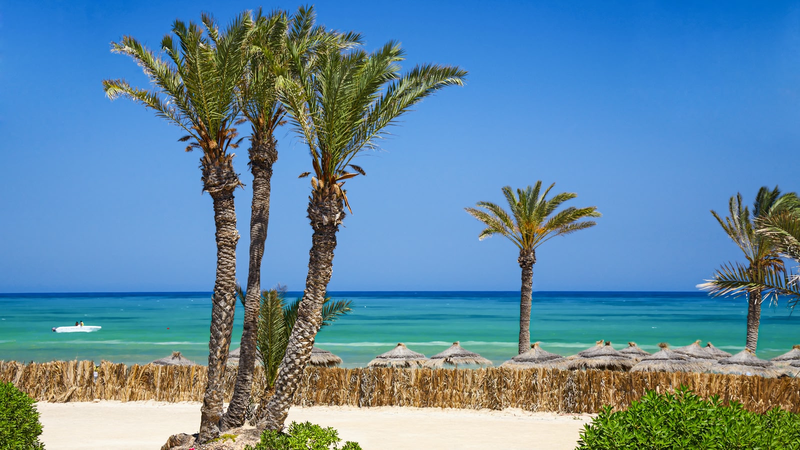 Reisen nach Tunesien in 2026 ab 130 € | Skyscanner